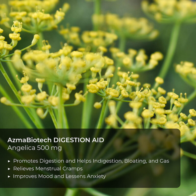 Angelica Digestion Aid - AzmaBiotech